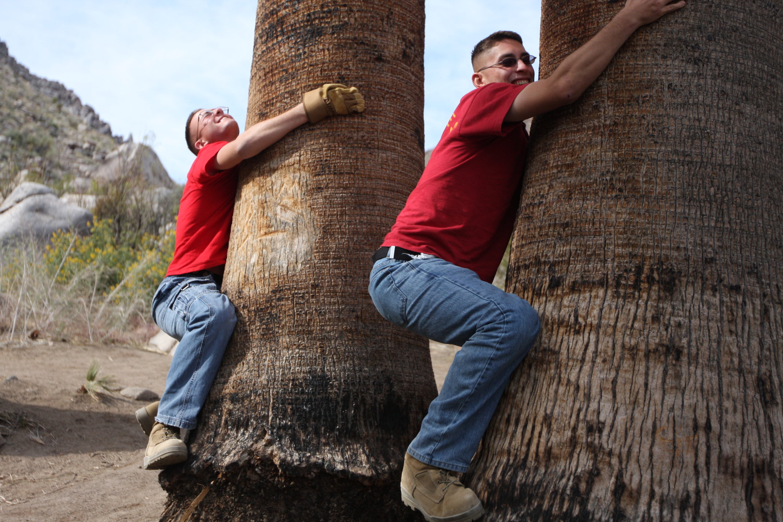 4 Ways You Can Green Up Your Building